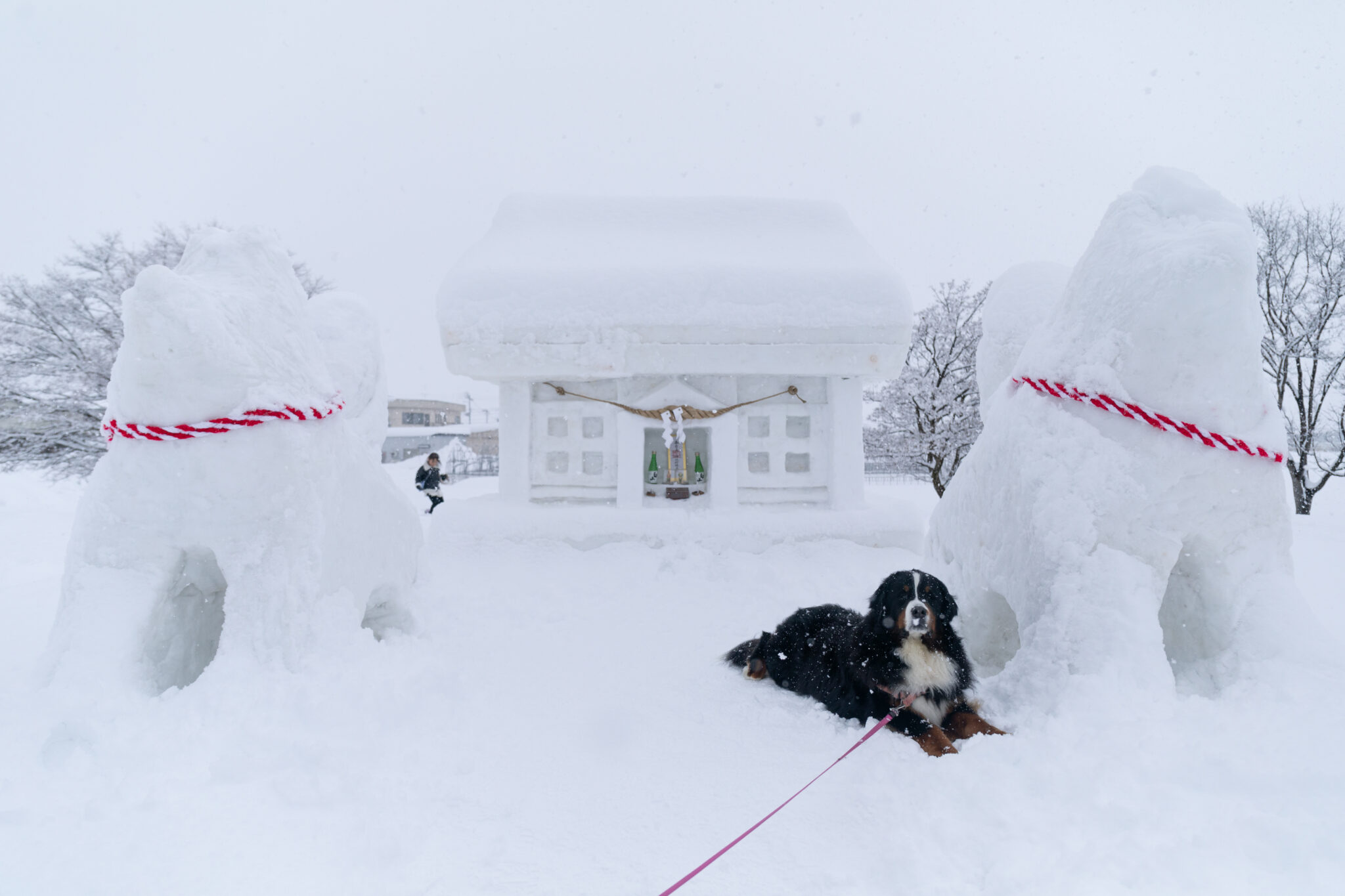 犬っまつり、来週は凍結に注意 | タカモトコーポレーション